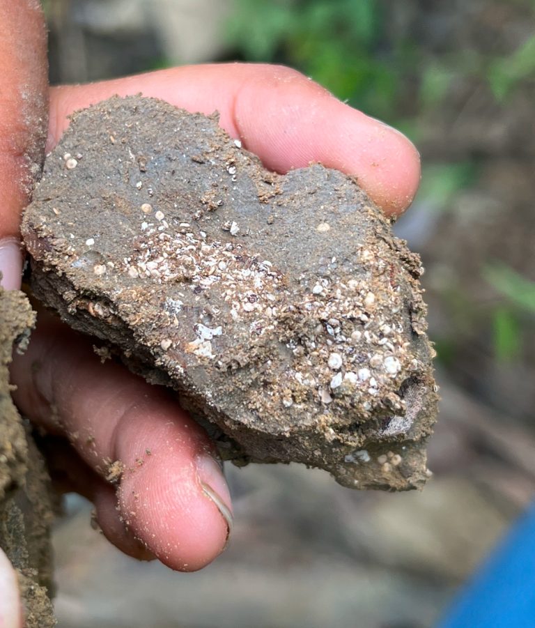 Penemuan Fosil Foraminifera Utuh di Formasi Bulu: Kontribusi Pemetaan ...